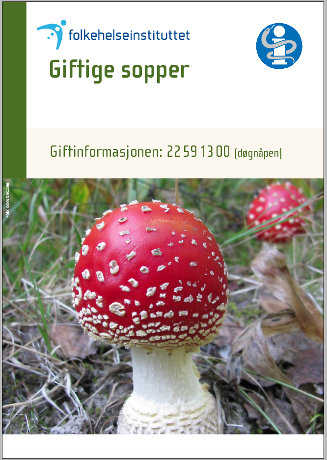 Giftige sopper - FHI